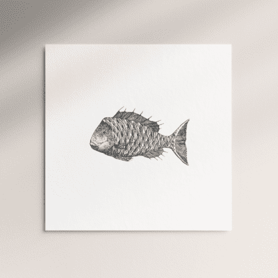 Card – Snapper – Wildings